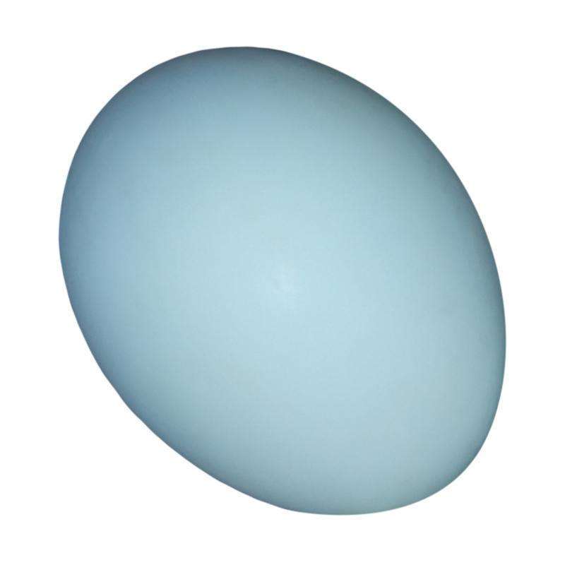 Jual Telur Asin Mentah [1 Butir] di Seller Jaya Telur - Pulo Brayan ...