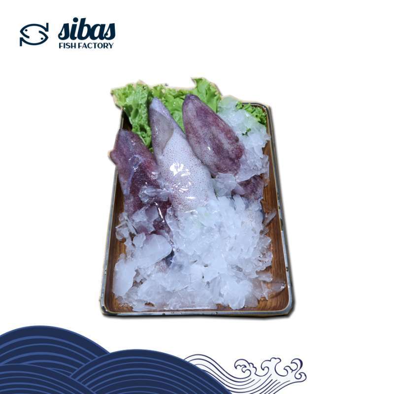 Jual CUMI SERO FRESH SEGAR PREMIUM 500 Gram Halal di Seller SIBAS ...