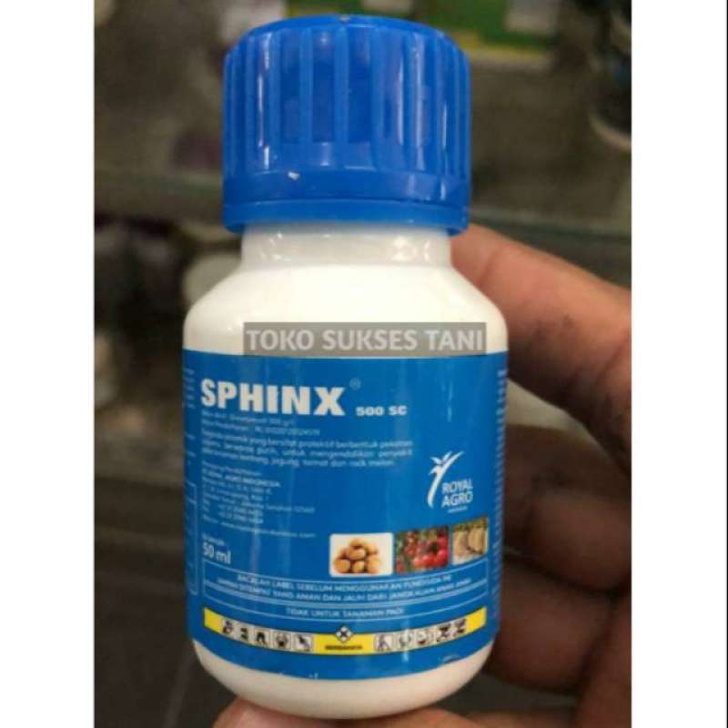 Jual Fungisida sistemik SPHINX dari Royal Agro bisa untuk perlakuan benih jagung aman dari bulai ...