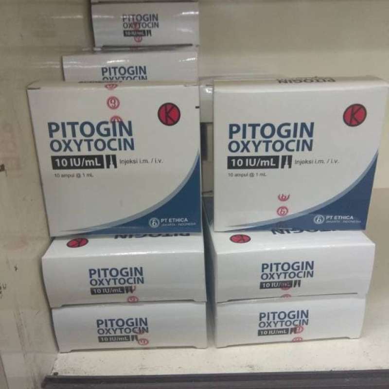 Promo Original Pitogin Oxitocinbox Diskon 5% di Seller Jakarta Sehat ...