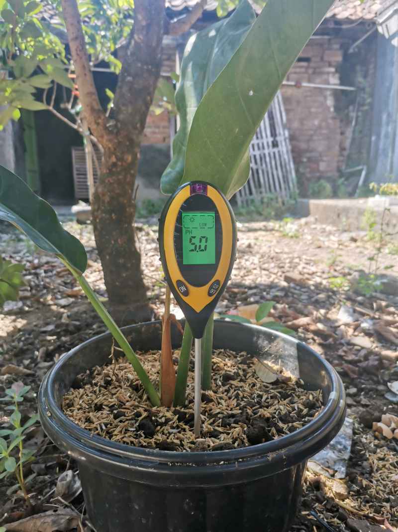 Jual PH meter Tanah Digital, Soil PH meter, Alat ukur kadar keasaman ...