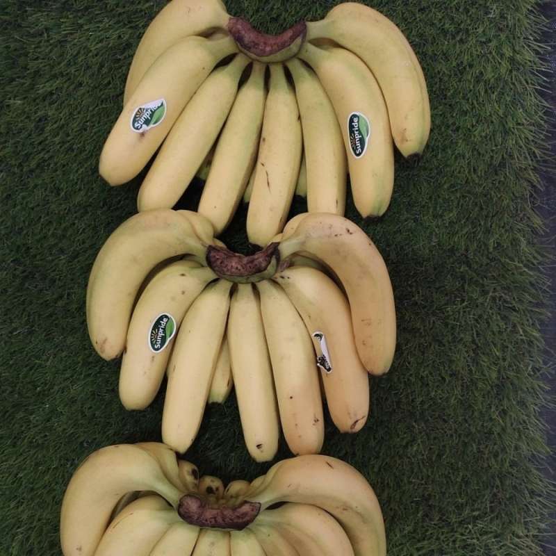 Jual Pisang Cavendish Pisang Sunpride (1 Sisir) Di Seller Premium Mart ...