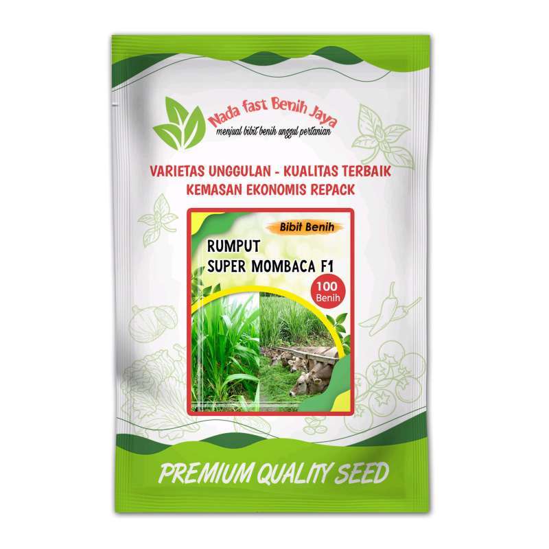 Promo Benih Rumput Mombaca Super F1 - Bibit Pakan Ternak Repack Benih ...