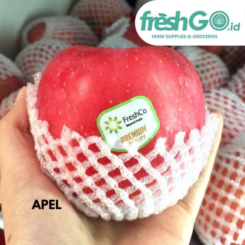 Jual Apel Fuji Premium Fresco 1kg | Freshgo Halal Di Seller Umkm ...