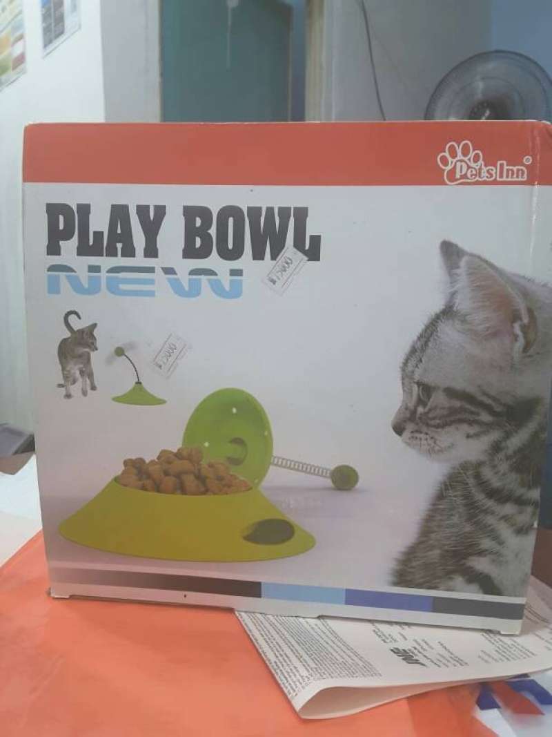 Jual Play Bowl Tempat Makan Kucing Di Seller Pet Avenue - Gandaria ...