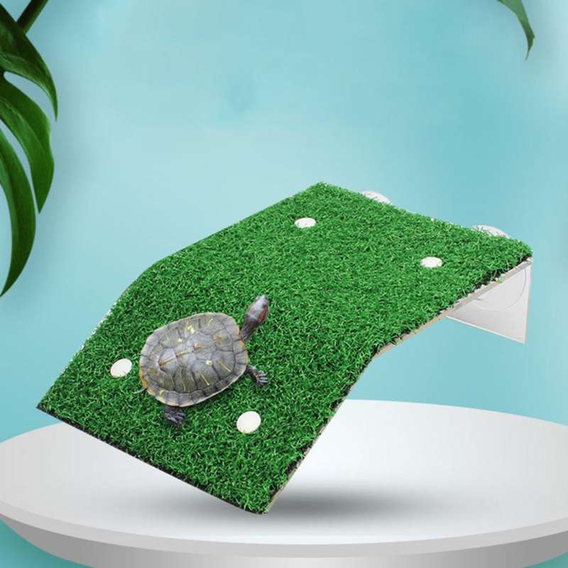 Jual Turtle Basking Platform Ramp Turtle Bottom Terrapin Decoration