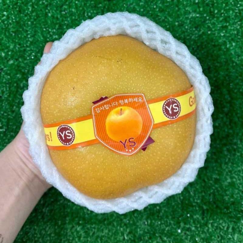 Buah Pear Korea