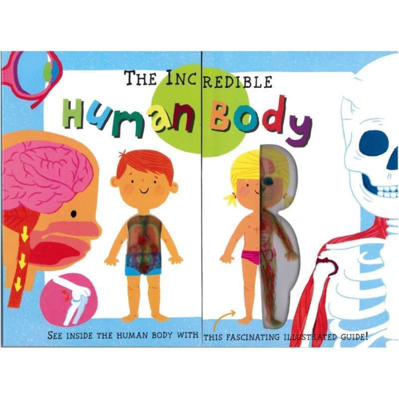 Jual The Incredible Human Body Original Harga Termurah April 2024 | Blibli
