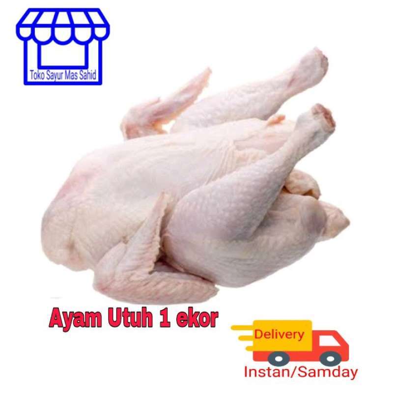 Jual Ayam potong 1 ekor Utuh di Seller Toko Sayur Mas Sahid - Cipondoh ...