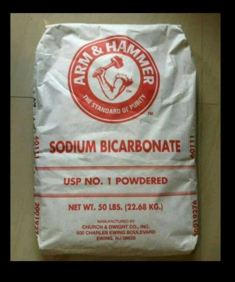 Jual Baking Soda Merk Arm&Hammer Baking soda 22.68kg ( Baking Powder ...