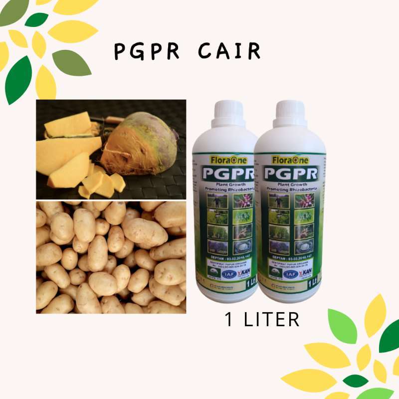 Jual PGPR Bakteri Aspergillus niger, Pupuk Fungisida Hayati Tricoderma ...