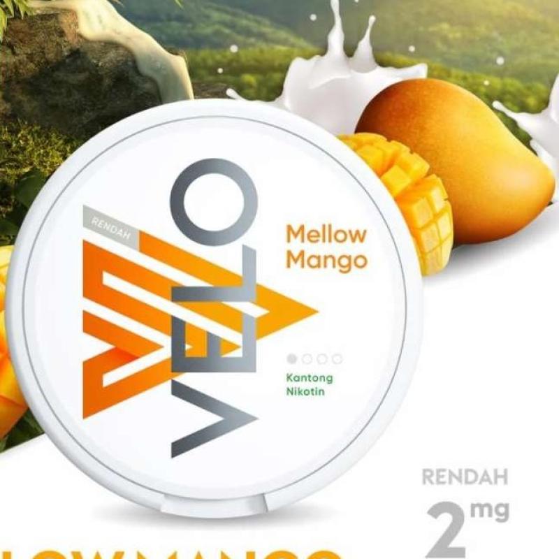 Jual Velo Mellow Mango Nicotine Pouch 100% Authentic By Velo Di Seller ...