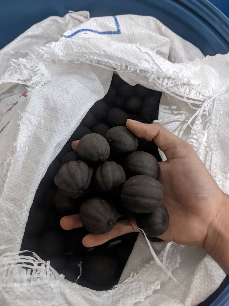 Promo Lemon Aswad / Lemon Hitam 1Kg Diskon 41% di Seller TOKO ASBA7 ...