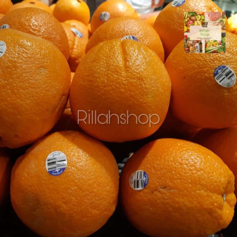 Jual Buah Jeruk Navel Cara Cara Jeruk Navel Manis Jeruk Potong Kg