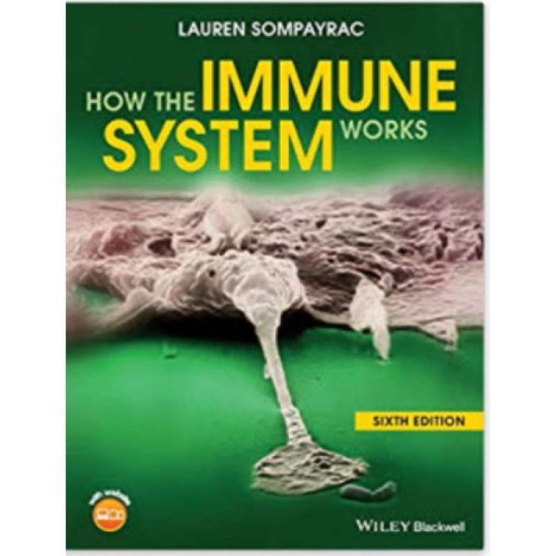 Jual How the Immune System Works, 6th Edition - 9781119542124 di Seller Kinokuniya Official ...