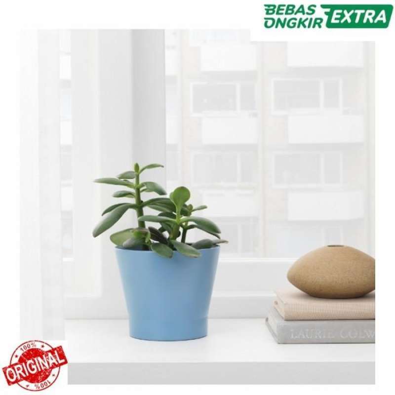 Jual Inspirasi Pot Bunga Keramik Mungil Imut Cantik Tinggi 9cm_Biru di ...