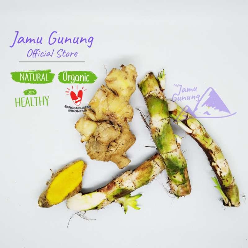 Promo 1 PAKET ! Dlingo Bengle atau Dlingo Bangle Segar 1kg - Sawan Anak ...