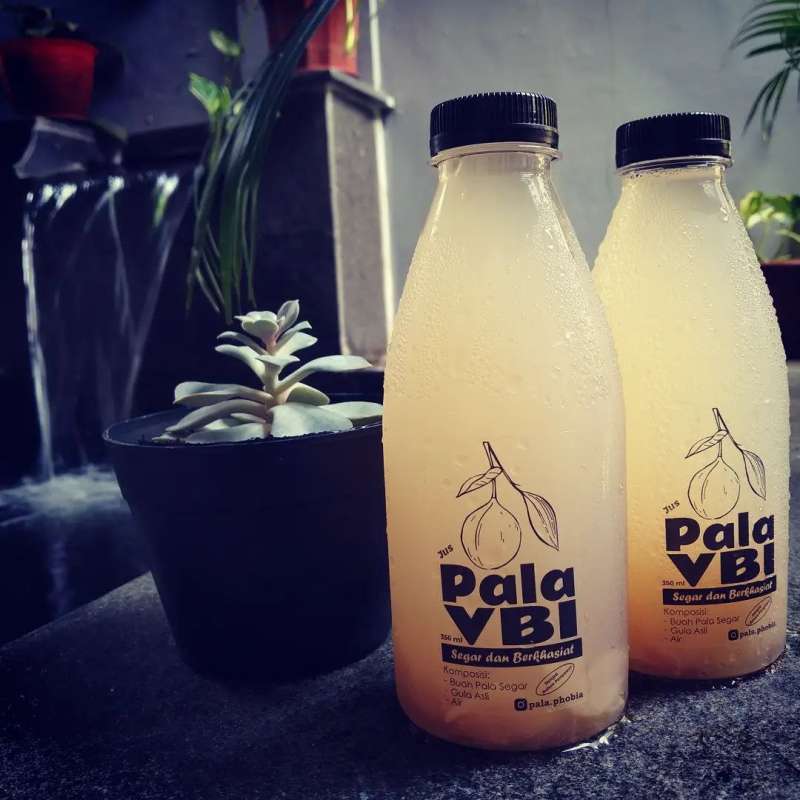 Jual VBI Minuman Jus Pala Nutmeg Juice Drink Botol 350ml Segar di ...