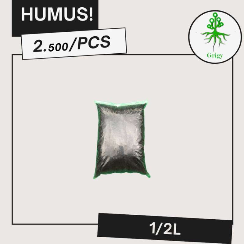 Humus Tanah