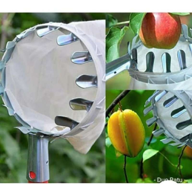 Jual Tongkat Fruit Picker Original Murah - Harga Diskon Mei 2024 ...