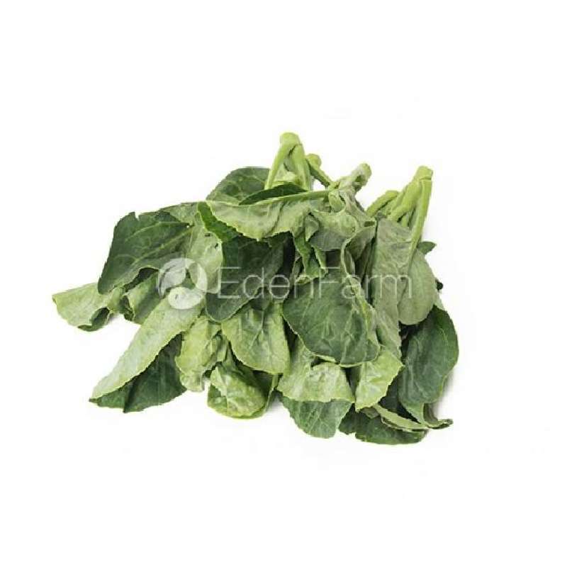 Kailan 1 Kg Gratis Ongkir 🏷️ Harga Murah Januari 2026