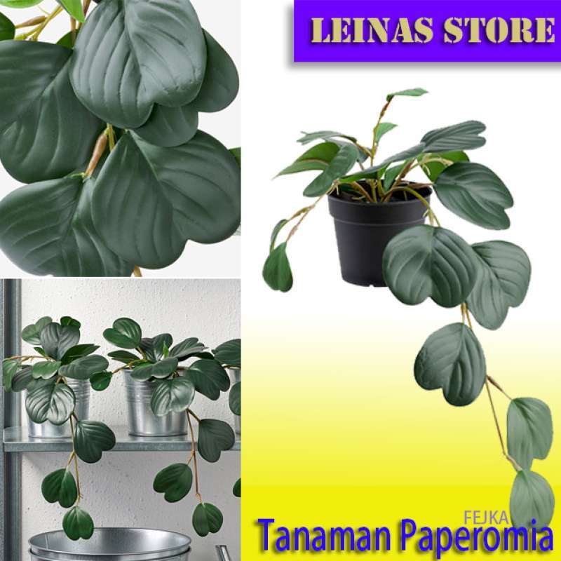 Jual Tanaman Artificial Hias Gantung Paperomia / Tanaman Love ...