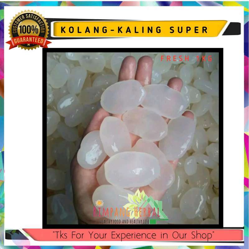 Promo Kolang-Kaling / Buah Aren / Buah Atep / Size Jumbo / Fresh 1Kg ...