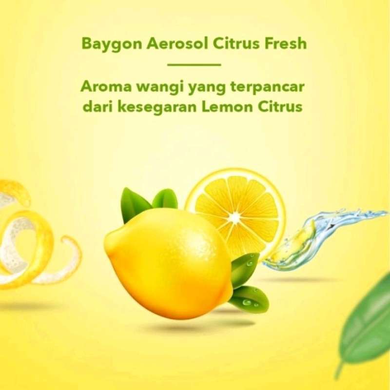 Jual Baygon Aerosol Double Nozzle Citrus Fresh 600 Ml Twinpack Di ...