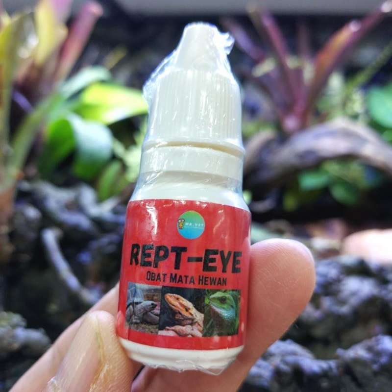 Jual Rept-Eye Obat Mata Hewan Reptil Torto Sulcata Kura Brazil Iguana ...