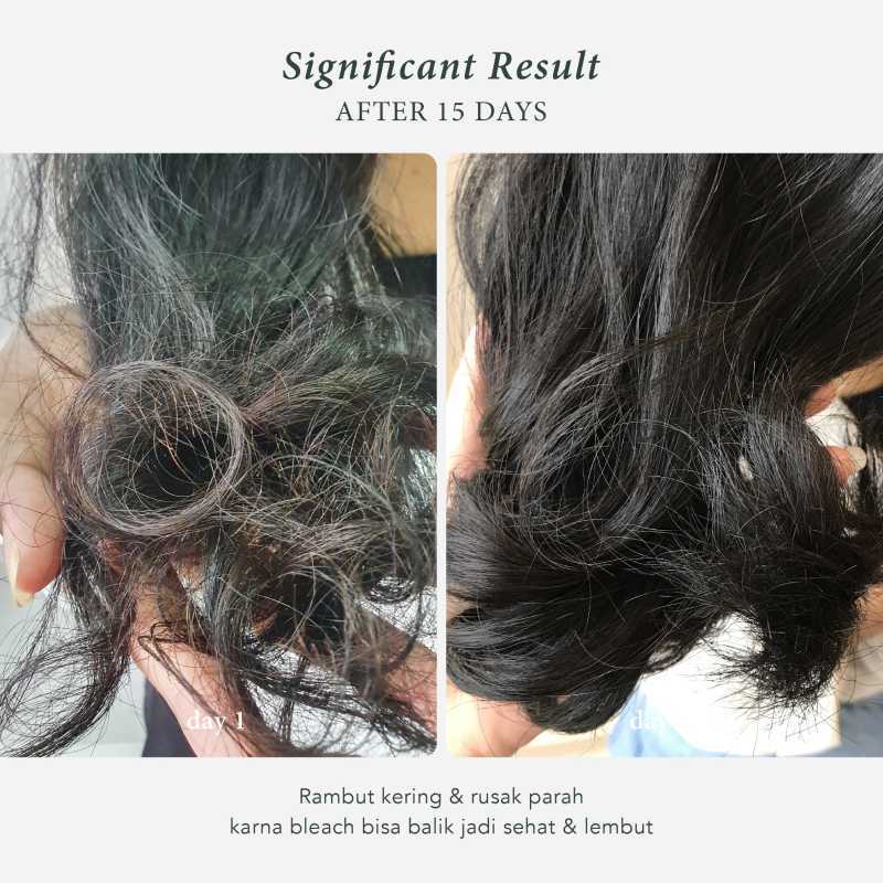 Promo [last Chance] - Shrd Protein Hair Mask With Keratin Avocado ...