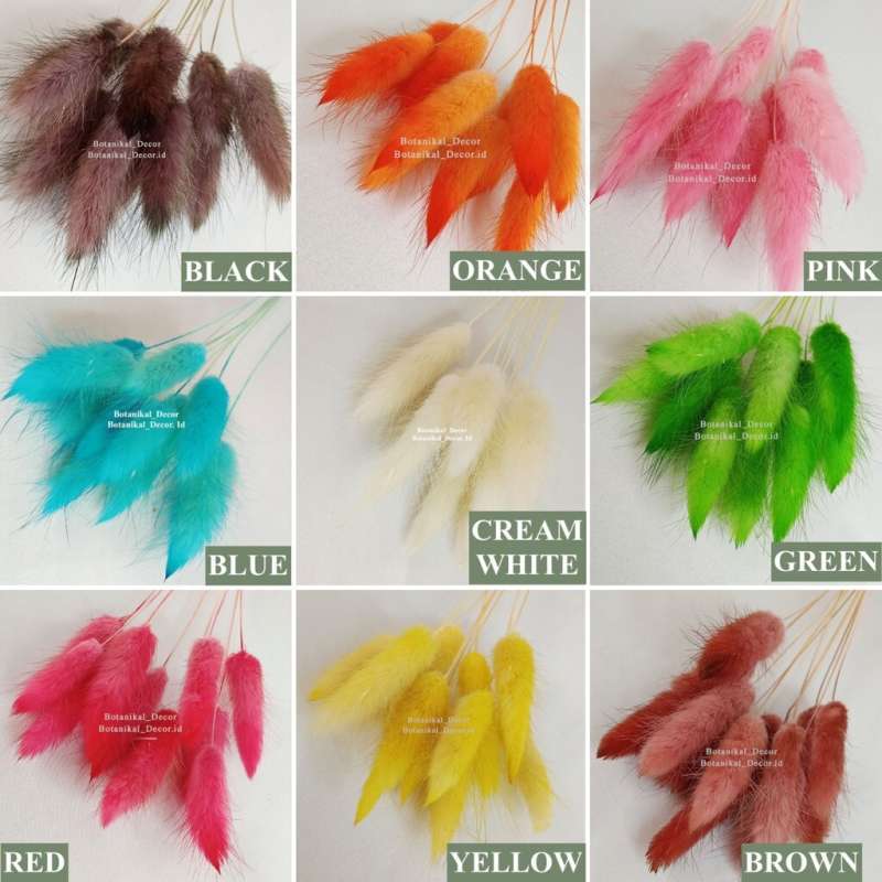 Jual Korean Dried Import Candy Colour (per 2 Pcs) Lagurus Rabbit Bunny Tail Asli Natural Bunga ...