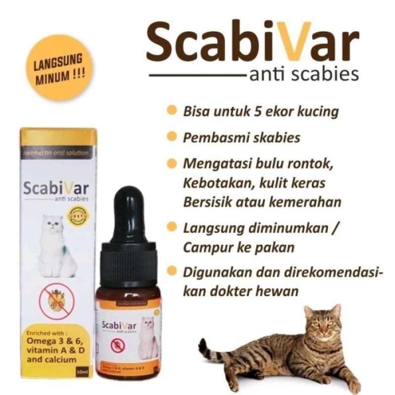Jual Scabivar Obat Sirup Anti Scabies Skabies / Kudis / Gudikan Pada ...
