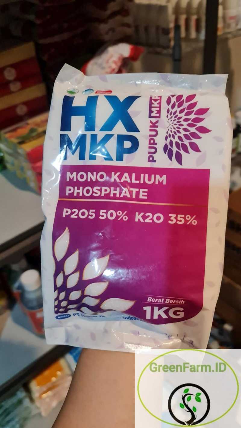 Jual Pupuk Hx Mkp Dgw 1 Kg Di Seller Greenfarm.id - Glugur Kota, Kota ...