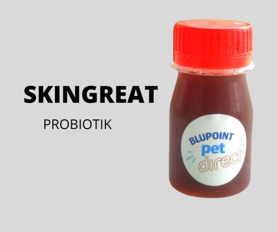 Jual Probiotik Kucing di Seller DENTA PET SHOP - Kalibata, Kota Jakarta ...