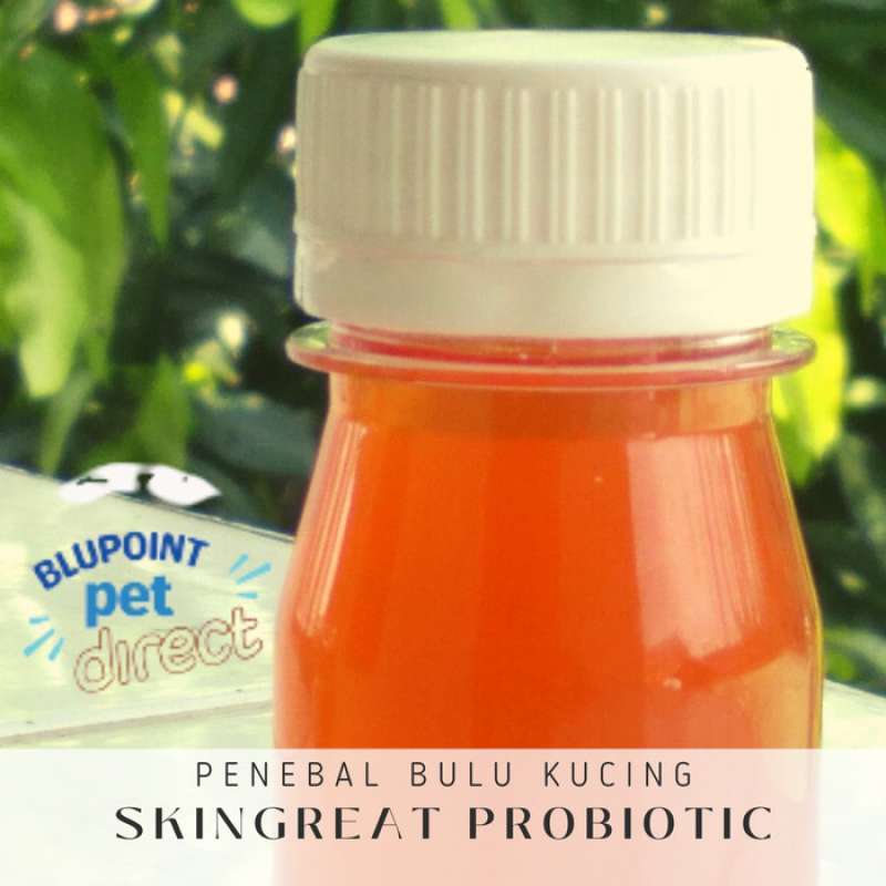 Jual Skingreat Probiotik Kucing di Seller DENTA PET SHOP - Kalibata ...