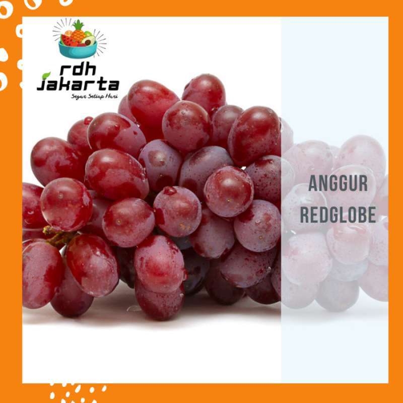 Promo BUAH ANGGUR MERAH RED GLOBE BUAH SEGAR PER 500GRAM SEGAR FRESH ...