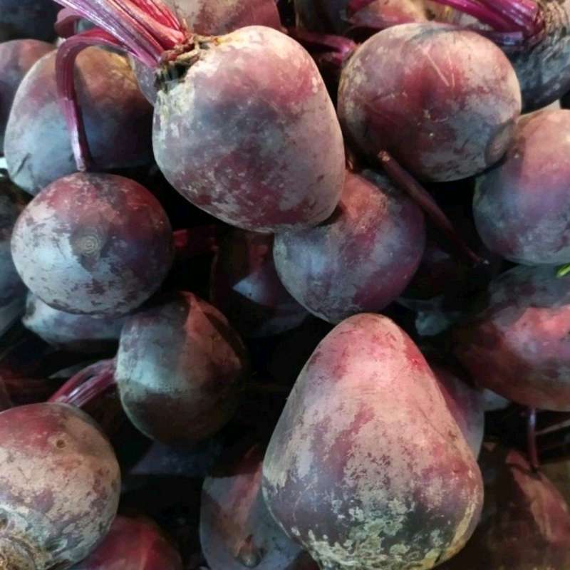 Promo Buah Bit 1 Kg Diskon 17% Di Seller Pak Sayur 10 - Senen, Kota ...