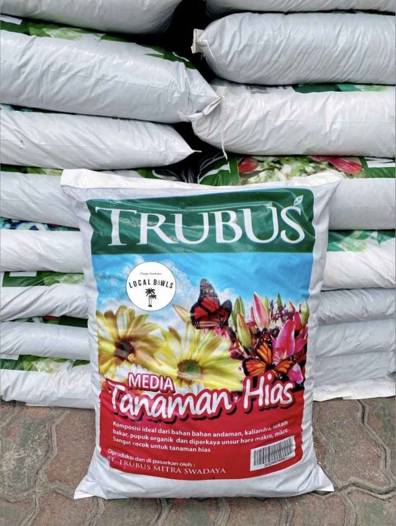 15 Rekomendasi Media Tanam Terbaik untuk Tanaman Hias di dalam Rumah (2023)