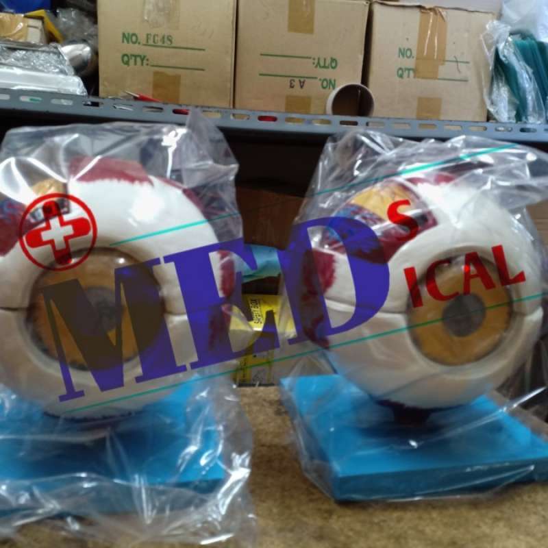 Jual Phantom Mata - Alat peraga mata di Seller Alfa Healthy Radika ...