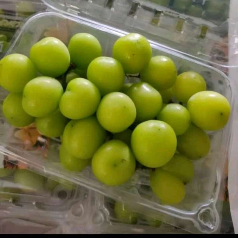 Jual Anggur Shine Muscat 500gr Halal di Seller Clarif_jaya - Cengkareng ...