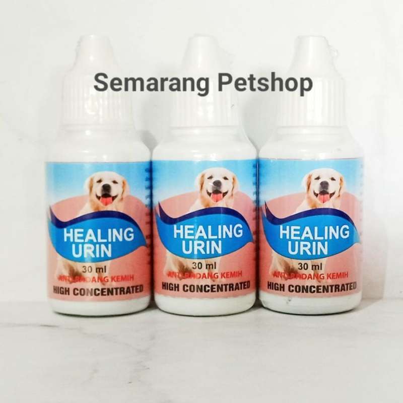 Jual Obat Saluran Kencing Anjing Healing Urin Obat Saluran Kemih Anjing ...