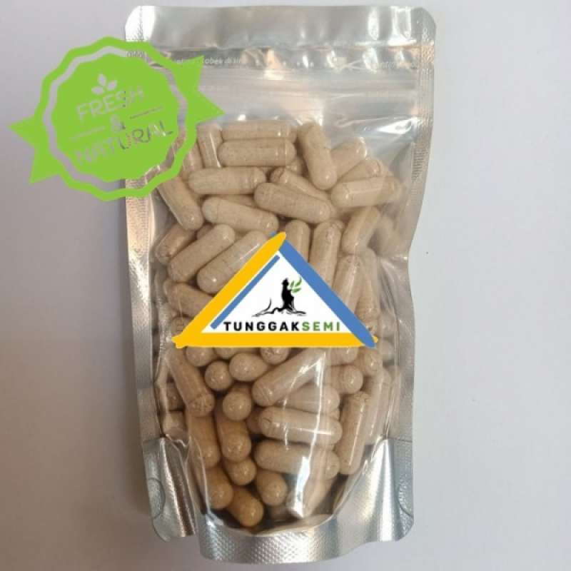 Jual TEMU MANGGA Kapsul Curah 500mg Menguatkan Rahim Kaya Antioksidan ...