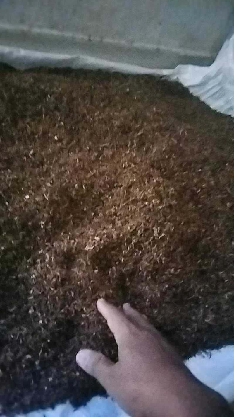 Jual Bako Rasa Racikan Free Papir + Lem Rasa Samsu 1kg Paket Hemat ...