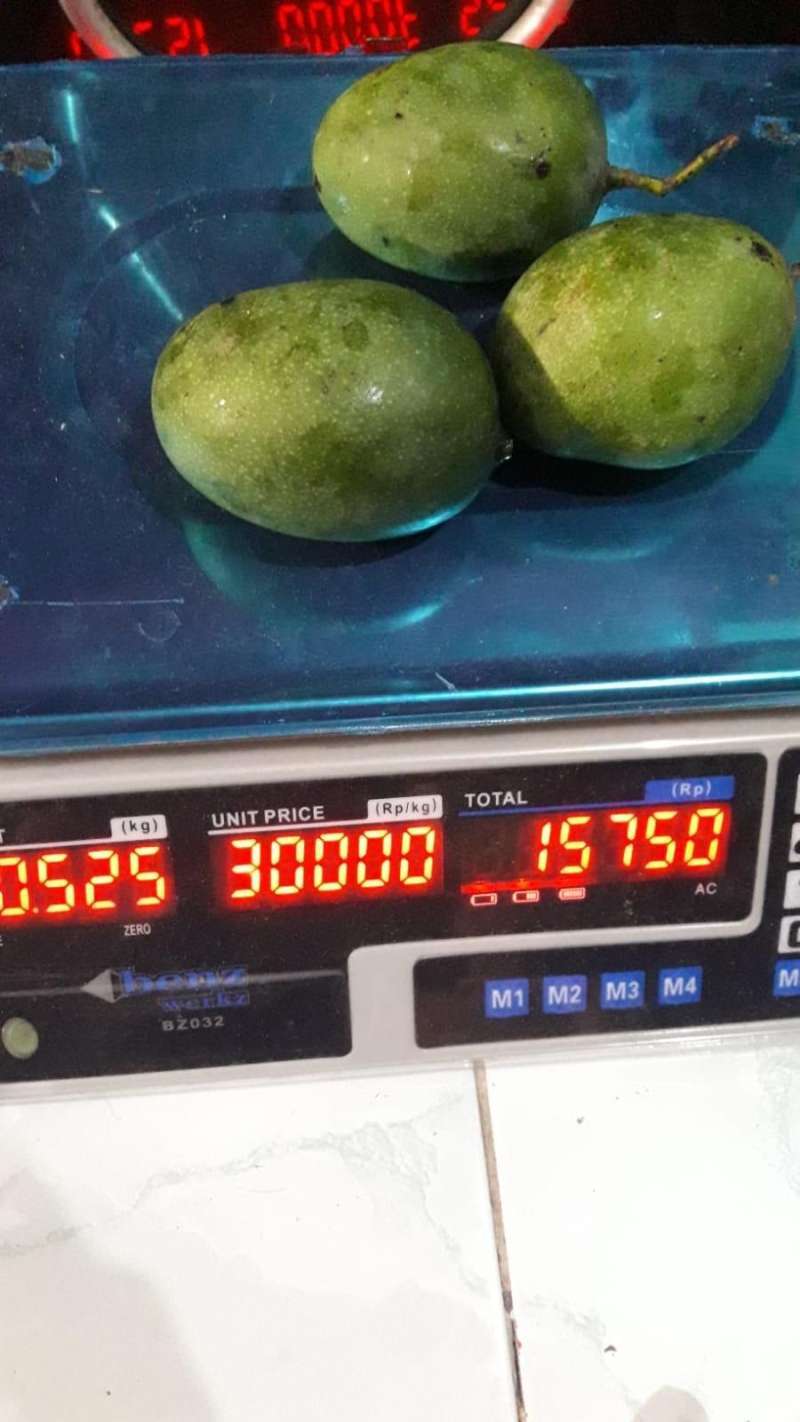 Jual Tali Jiwo Mangga Terdekat 🏷️ Harga Grosir Murah Terupdate Hari Ini ...