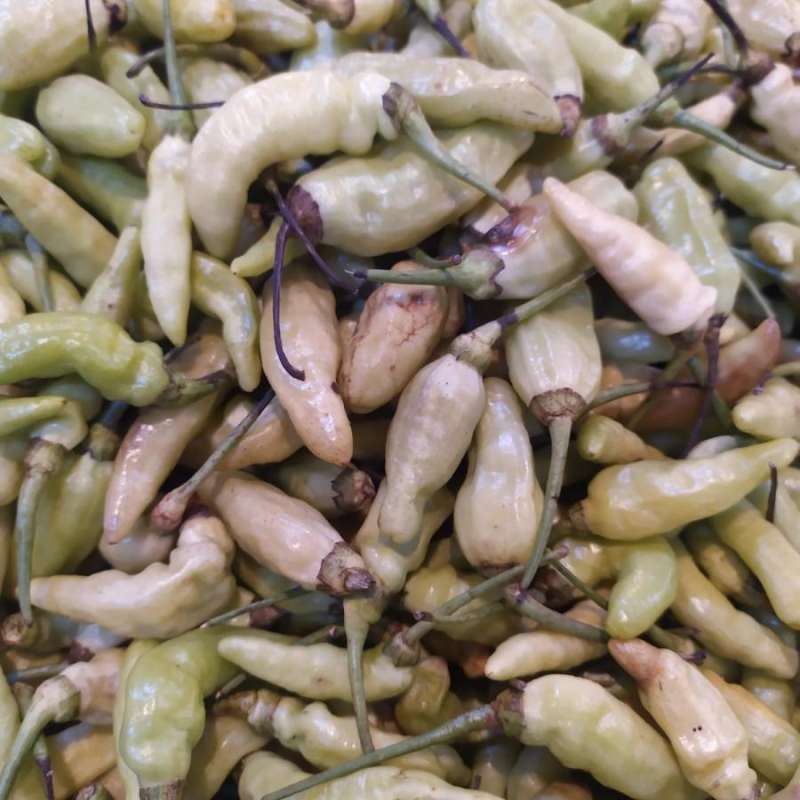 Jual Cabe Rawit Domba Hijau 250gr Di Seller Aneka Seafood Bandung ...