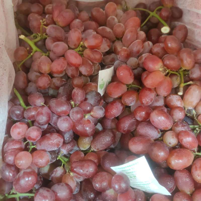 Jual Buah Anggur Merah Crimson Di Seller Clarif_jaya - Cengkareng Timur ...
