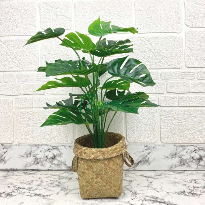 Promo Pohon Daun Monstera Tapak Gajah X18 Semi Latex Artificial Purun ...