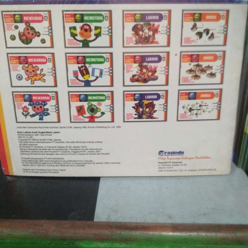 Jual Buku Latihan Anak Tingkat Mahir Labirin Untuk Usia 4-6 Tahun Di ...