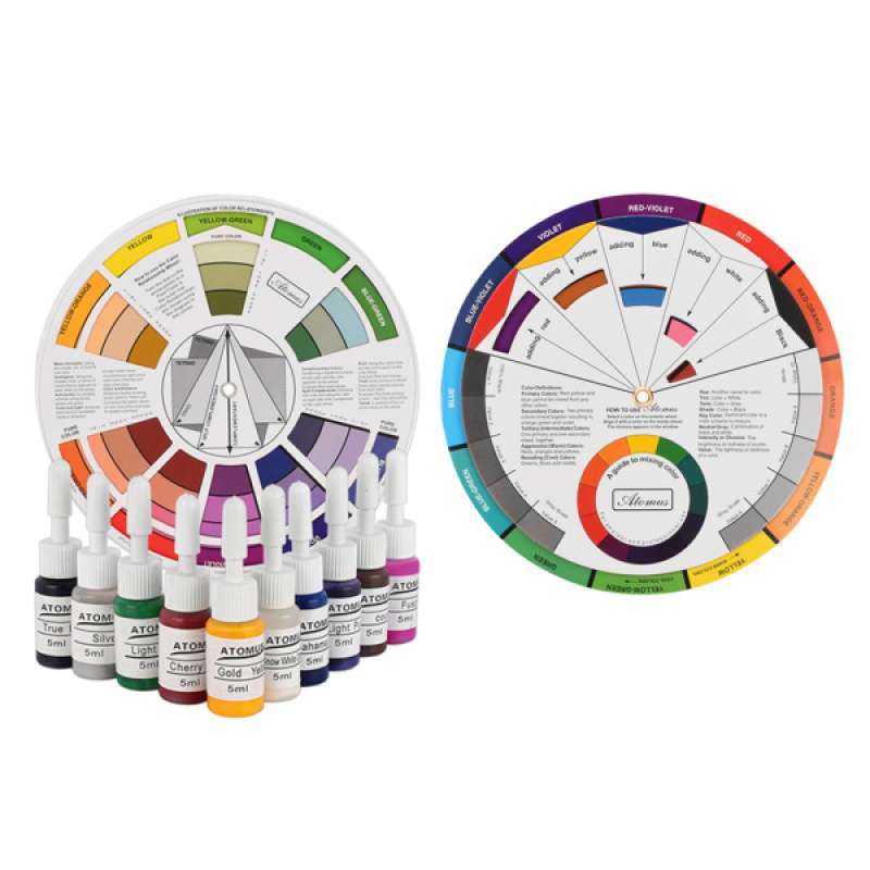 Promo Creative Color Wheel Set & 10 Bright Colors Tattoo Inks DIY Arts ...