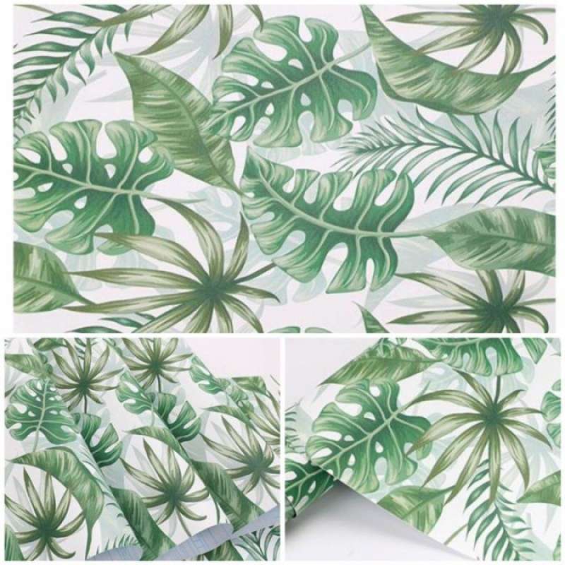 Promo Wallpaper Sticker Dinding Putih Daun Hijau Mewah Elegan Diskon 23% di Seller Monero Store ...
